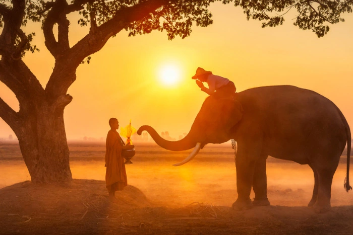 Nekdanji menih Jay Shetty razloži, kako ravnati z ljudmi, ki so ...